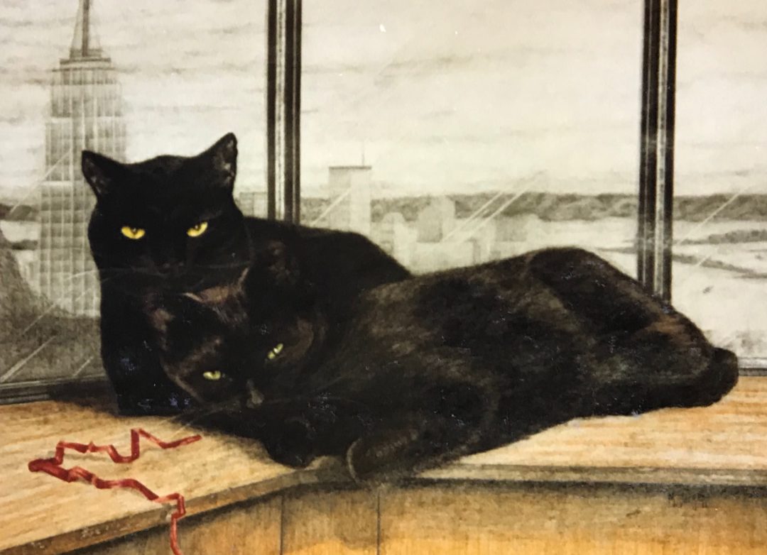 New York Cats - MARTIN VARGAS ART